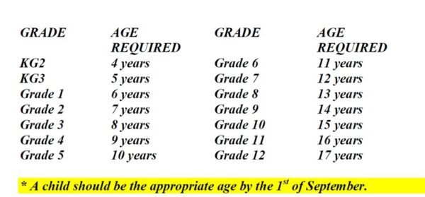 American Grade Level Requirements